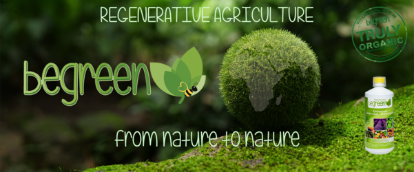 Pflanzenstärkung - begreen